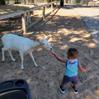 WISCONSIN DEER PARK - Updated June 2024 - 228 Photos & 120 Reviews ...