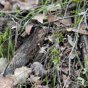 FAT PILGRIM - Updated October 2025 - 70 Photos & 15 Reviews - 20820 ...