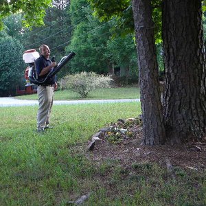 ROLLINS - Updated June 2025 - 2170 Piedmont Rd NE, Atlanta, Georgia ...