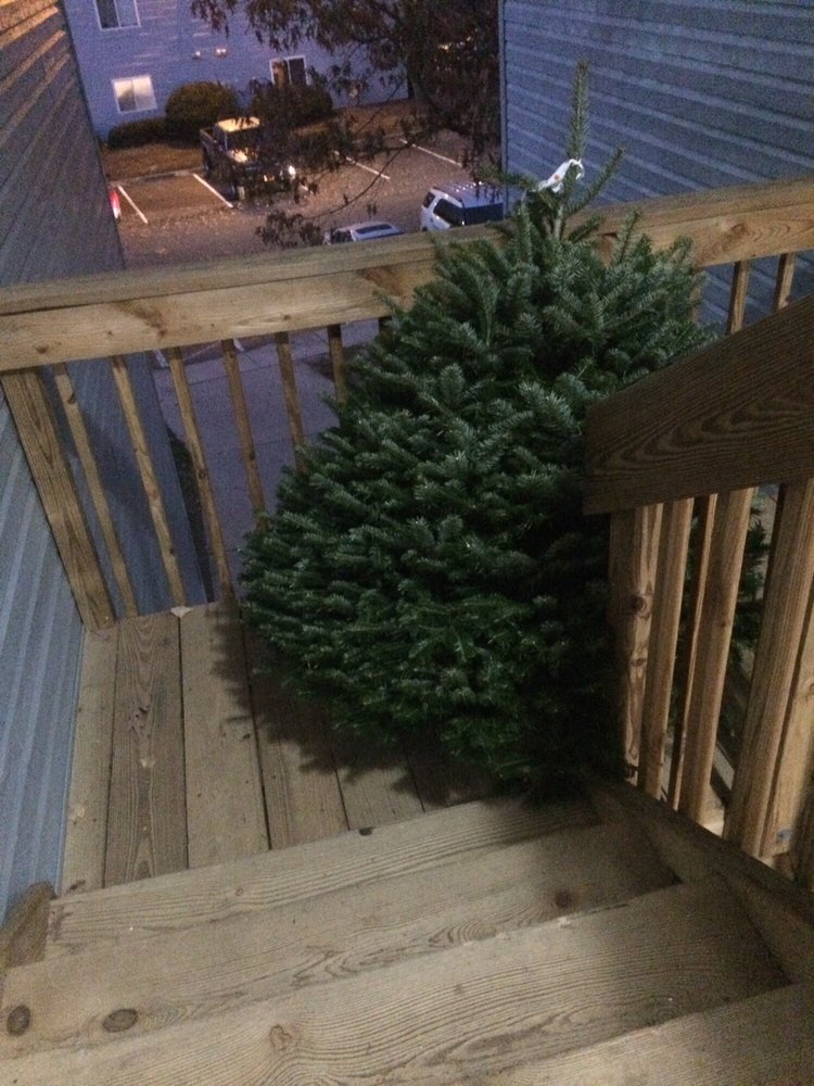 HUGHES ROAD TREE FARM - Updated December 2025 - 4197 Centerville Rd ...