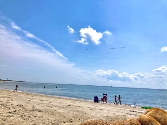 HIGBEE BEACH WILDLIFE MANAGEMENT AREA - Updated October 2025 - 90 ...