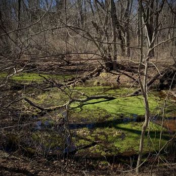 BLYDENBURGH PARK - Updated December 2025 - 197 Photos & 70 Reviews ...