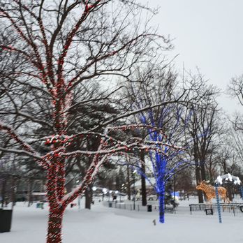 GAGE PARK - Updated December 2025 - 45 Photos & 12 Reviews - 45 Main ...