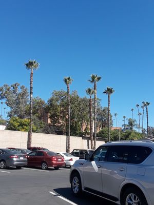 RIVERSIDE CITY COLLEGE - 73 Photos & 67 Reviews - 4800 Magnolia Ave ...