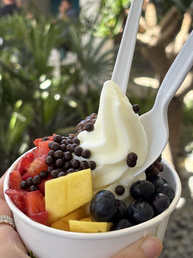 PINKBERRY - Updated October 2025 - 176 Photos & 154 Reviews - 7007 ...