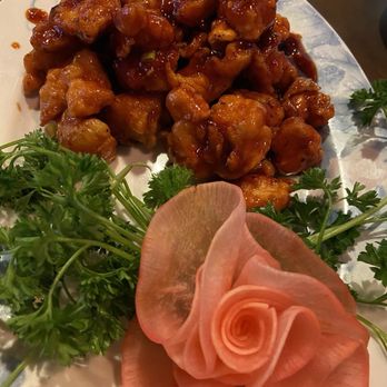 SONGBIRD - Updated August 2024 - 266 Photos & 131 Reviews - 10940 ...