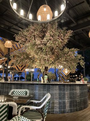 PATIO BY LA PASHA - Updated February 2025 - 271 Photos & 98 Reviews ...