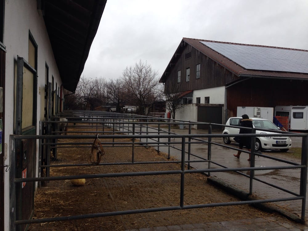 REITSBERGER REITSTALL & REITSCHULE - Updated October 2024 - Baldhamer ...