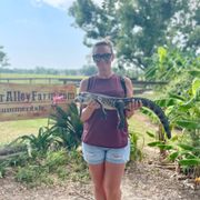 ALLIGATOR ALLEY - 412 Photos & 133 Reviews - Zoos - 19950 County Road ...
