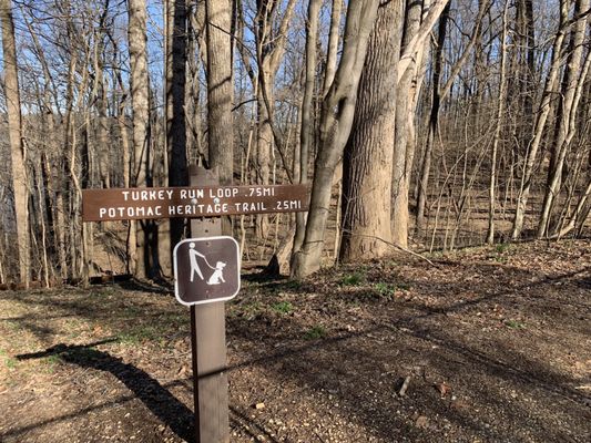 TURKEY RUN PARK - 72 Photos & 21 Reviews - Parks - McLean, VA