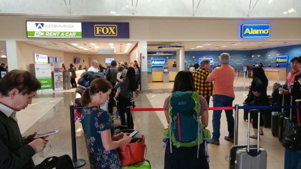 FOX RENT A CAR - 185 Photos & 1078 Reviews - 1805 E Sky Harbor Cir S ...