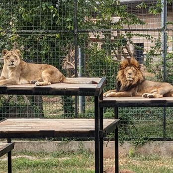 DICKERSON PARK ZOO - Updated October 2025 - 132 Photos & 50 Reviews ...