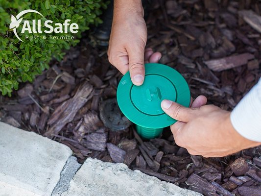 ALL-SAFE PEST & TERMITE - Updated April 2025 - 77 Photos & 93 Reviews ...