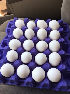 GOLDEN FRESH EGG RANCH - Updated July 2024 - 44 Photos & 59 Reviews ...