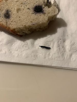 SACK N SAVE - Updated December 2024 - 16 Photos & 20 Reviews - 2100 ...