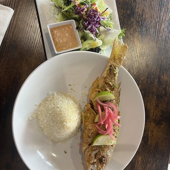 SOFRITO LATINO - Updated January 2026 - 106 Photos & 11 Reviews - 10 ...