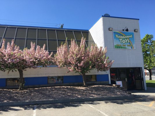 TUMBLEWEED TOYS - Updated January 2026 - 1201 A Summit Drive, Kamloops ...