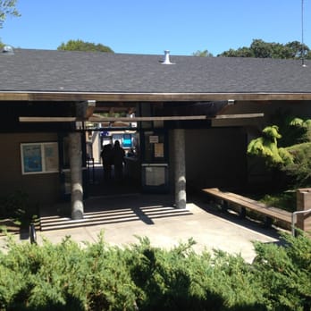 MARINWOOD POOL - Updated December 2025 - 30 Photos & 23 Reviews - 775 ...