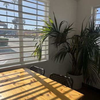 CONDRON COFFEE - Updated December 2024 - 238 Photos & 298 Reviews ...