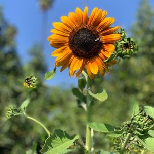 RILEY’S APPLE FARM - Updated July 2025 - 312 Photos & 194 Reviews ...