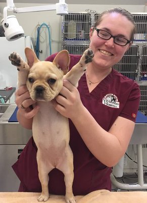 FALLS ROAD VETERINARY HOSPITAL - Updated October 2025 - 40 Photos & 25 ...