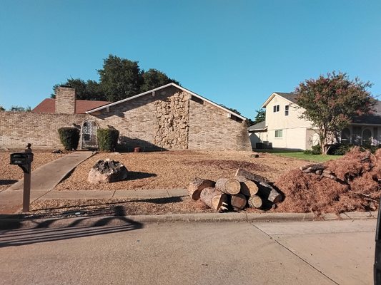 RAMOS TREE SERVICE - Updated December 2025 - 66 Photos - 3432 Webb Chapel Extension, Dallas ...