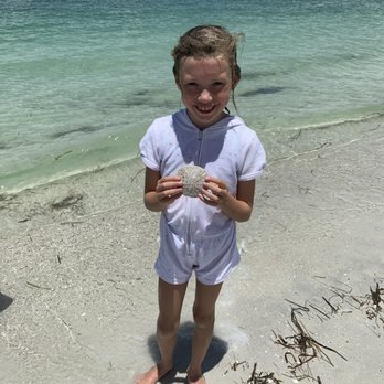 SHELL KEY SHUTTLE - Updated October 2025 - 81 Photos & 39 Reviews - 801 ...