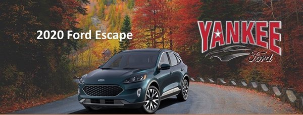 YANKEE FORD - Updated December 2025 - 30 Photos & 67 Reviews - 165 ...