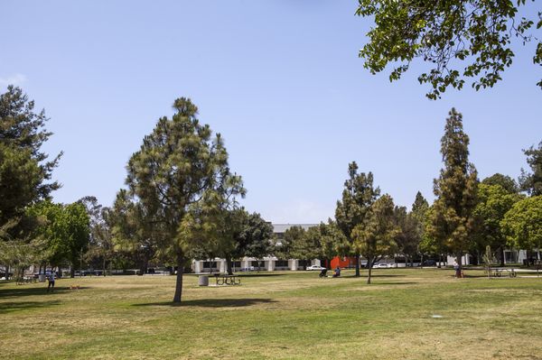 CLOVER PARK - Updated November 2024 - 113 Photos & 88 Reviews - 2600 ...