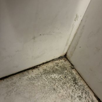 COMET CLUB - Updated December 2025 - 65 Photos & 239 Reviews - 3111 ...