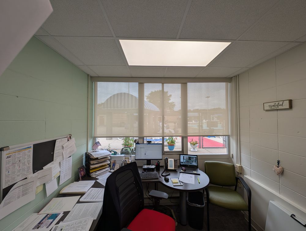 BUMBLE BEE BLINDS OF MADISON - Updated June 2026 - 21 Photos - 802 ...