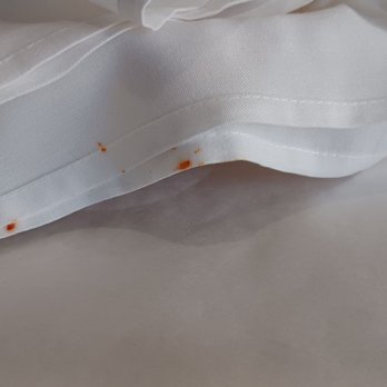 ALLEGRIA ITALIANA - 231 Photos & 303 Reviews - 518 Oakfield Dr, Brandon ...