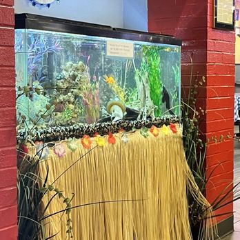 CATFISH SAM’S - Updated November 2025 - 135 Photos & 209 Reviews - 2735 ...