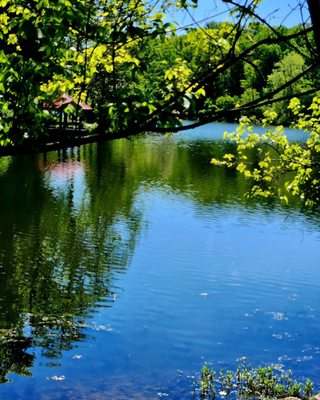 LAKE ELKHORN PARK - Updated October 2025 - 240 Photos & 66 Reviews ...