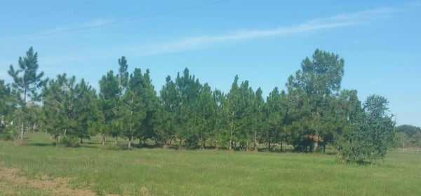 TURQUOISE ACRES RANCH - 3550 Schlipf Rd, Katy, Texas - Venues & Event ...