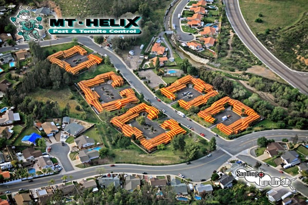 MT HELIX PEST & TERMITE CONTROL - Updated January 2026 - 12 Photos & 46 ...