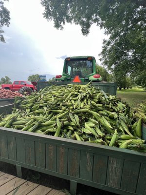 ED LESTER FARMS - Updated December 2025 - 36 Photos - 1165 Hwy 84 E ...