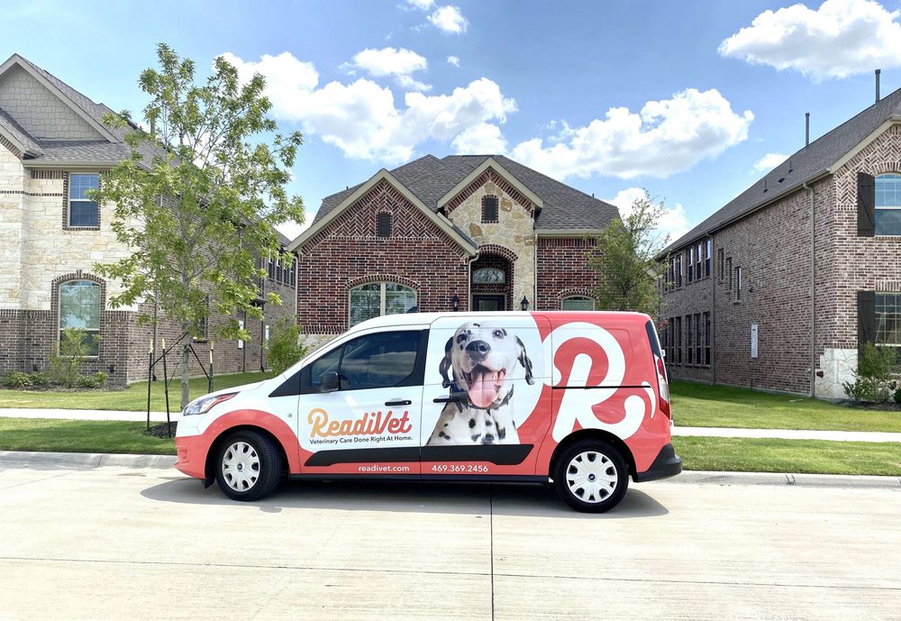 READIVET - COLLIN COUNTY - Updated January 2026 - 11 Reviews - 8404 Stacy Rd, McKinney, Texas ...