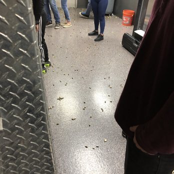 FLORIDA GUN CENTER INDOOR SHOOTING RANGE - Updated August 2025 - 43 ...