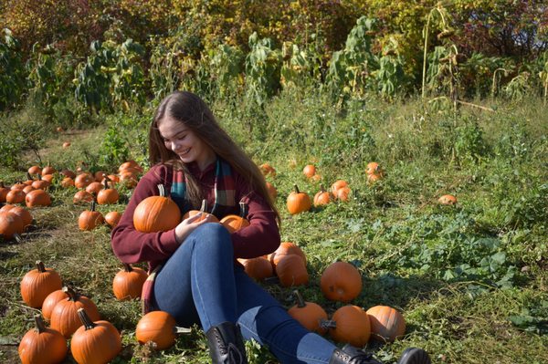 SPRINGRIDGE FARM - 143 Photos & 33 Reviews - 7256 Bell School Line ...