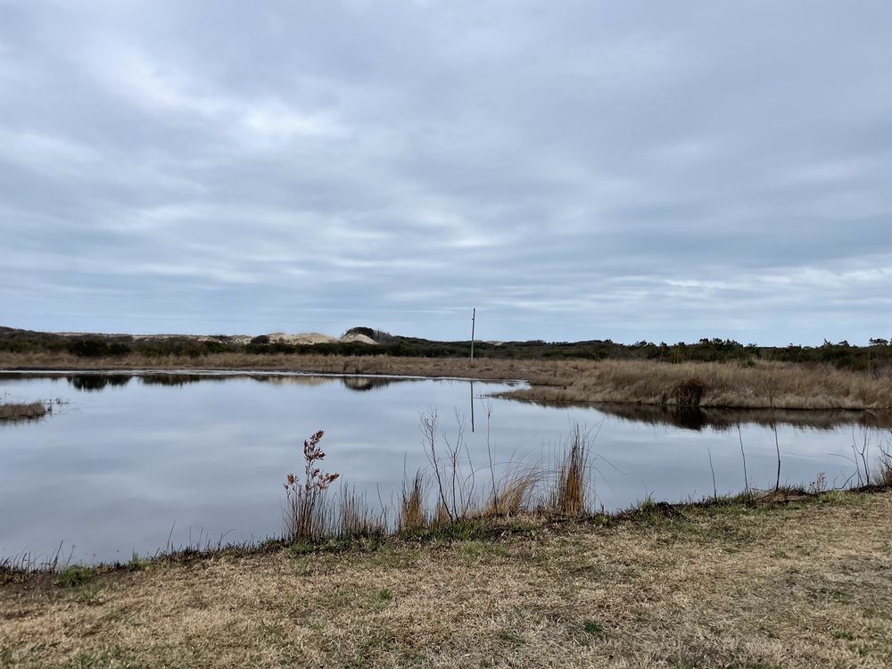 BACK BAY NATIONAL WILDLIFE REFUGE - Updated June 2024 - 249 Photos & 31 ...