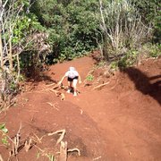 AIEA LOOP TRAIL - Updated April 2025 - 1427 Photos & 315 Reviews - 99 ...