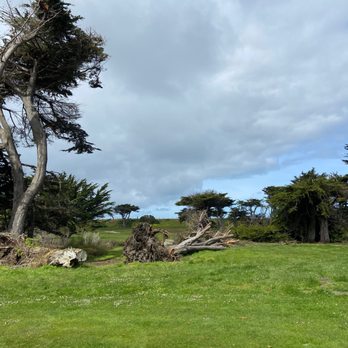 SHARP PARK GOLF COURSE - Updated January 2025 - 142 Photos & 174 ...