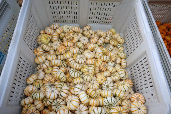 SOERGEL ORCHARDS & GARDEN CENTER - 238 Photos & 129 Reviews - Fruits ...