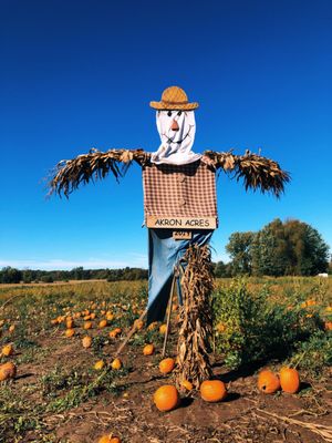 AKRON ACRES - 80 Photos & 14 Reviews - 12607 Stage Rd, Akron, New York ...