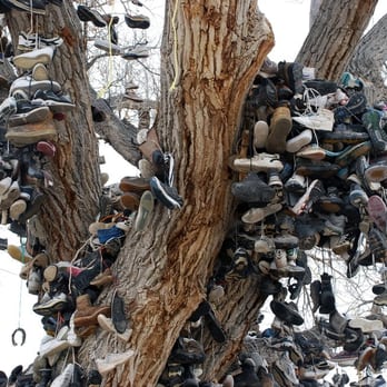 THE MIDDLEGATE SHOE TREE - 41763 Austin Hwy, Fallon, Nevada - Local ...