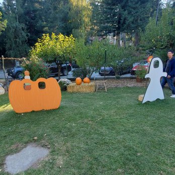 PATCHEN PUMPKIN PATCH - Updated September 2024 - 82 Photos & 19 Reviews ...