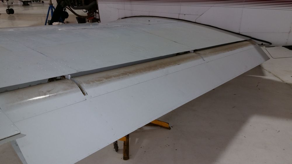 EXOTIC DETAIL LI - Updated July 2025 - Request a Quote - 94 Photos ...