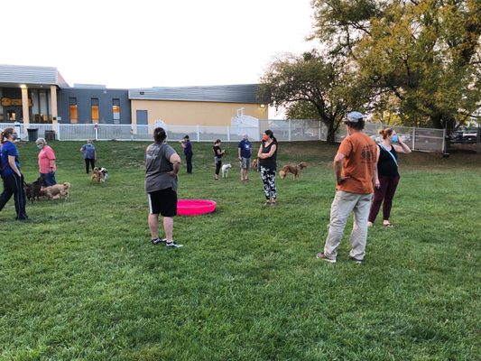 NEBRASKA HUMANE SOCIETY - Updated October 2024 - 45 Photos & 92 Reviews ...