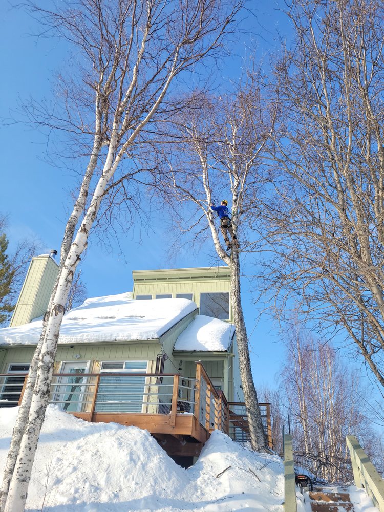 APEX TREE CARE - Updated October 2025 - Anchorage, Alaska - Tree ...